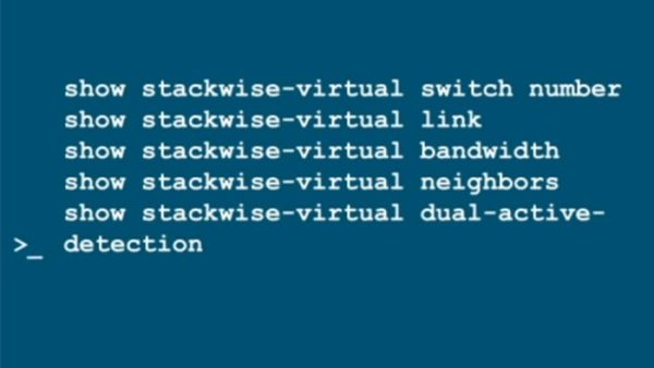 What is Cisco StackWise Virtual and How it Works? | Golicense